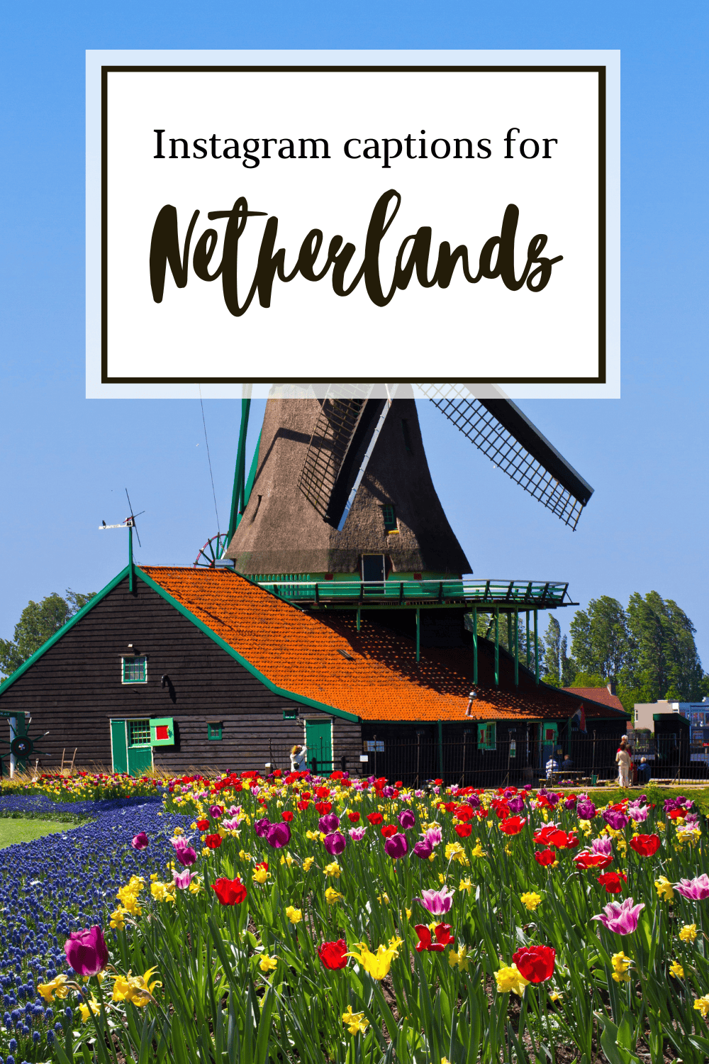 175 Netherlands Instagram Captions: Unique Dutch Ideas