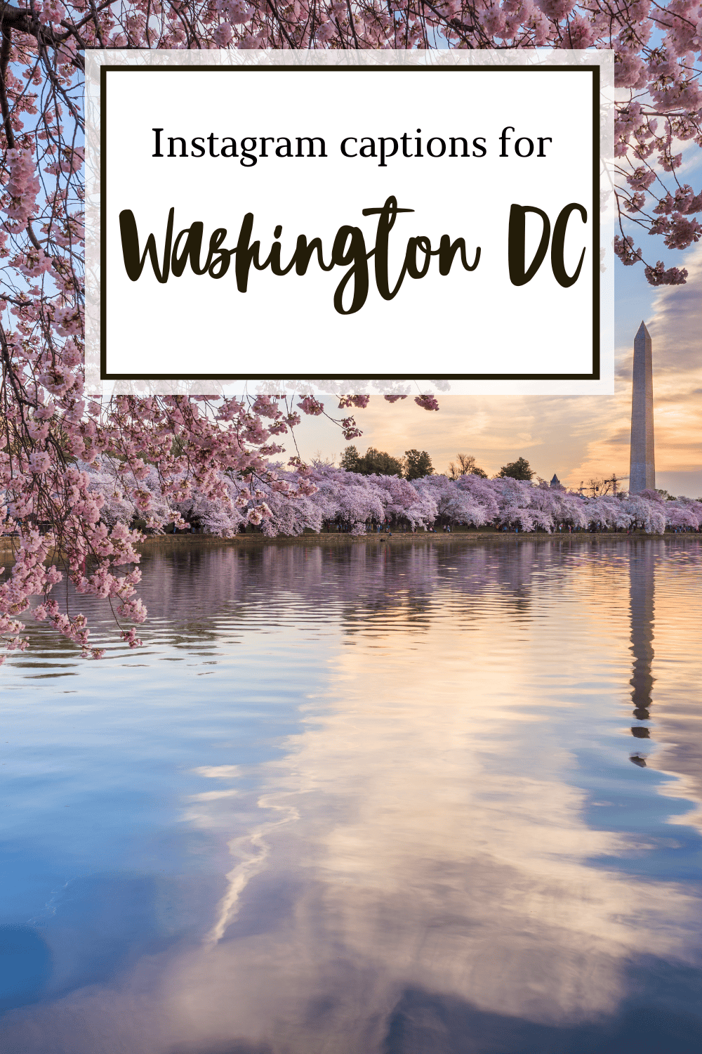 200 Washington DC Instagram Captions: Perfect, Unique Ideas