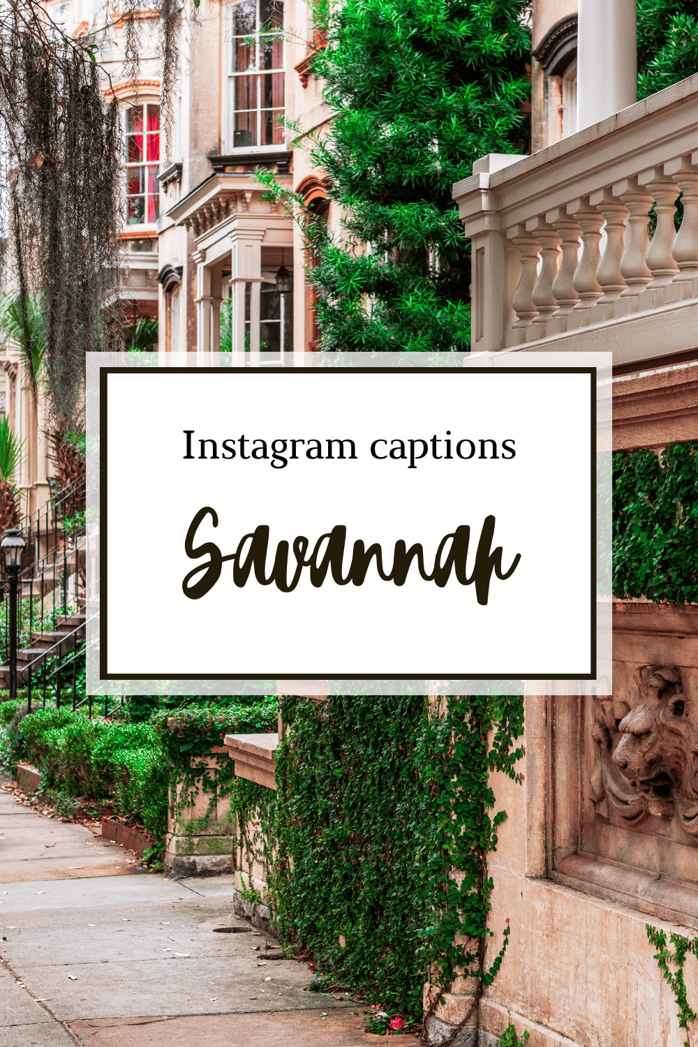 125 Savannah Instagram Captions: Best Lines for Your Travel Pics