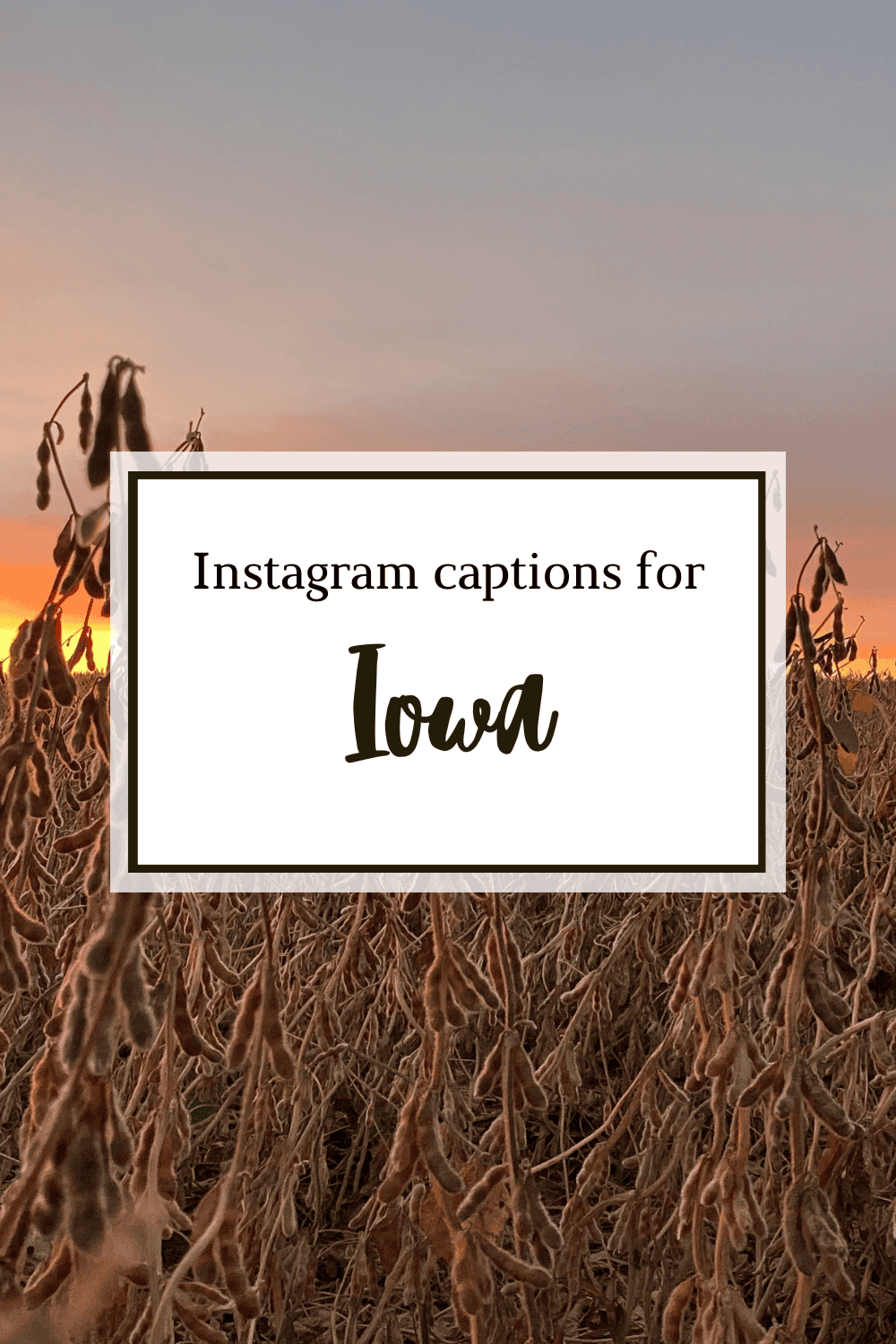 99+ Iowa Instagram Captions: Best Quotes for the Midwest